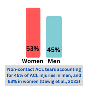 ACL Injury | Anterior Cruciate Ligament Injury | Somerton Physio